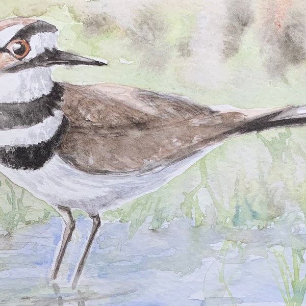 Watercolor Killdeer - Etsy