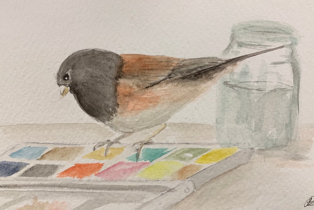 Junco Painting, Junco Original Watercolor, Junco Artwork, Junco ...