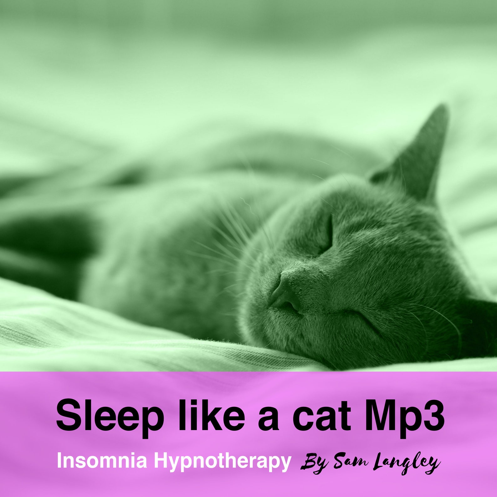 Sleep Like a Cat Mp3 Insomnia Hypnotherapy - Etsy