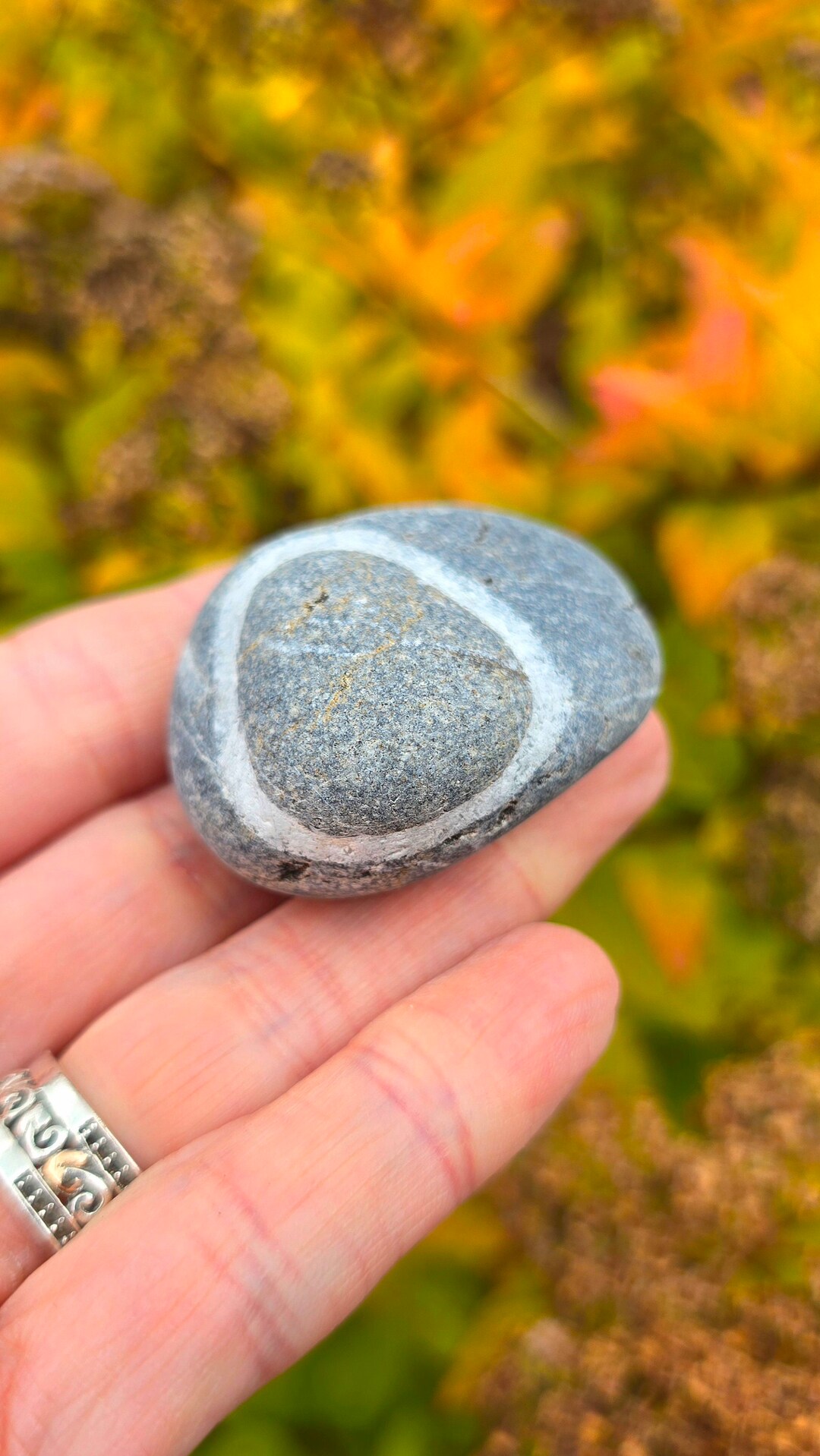 Rare Wishing Stone, Natural Wishing Stone, Welsh Wish Stone, Bladder ...
