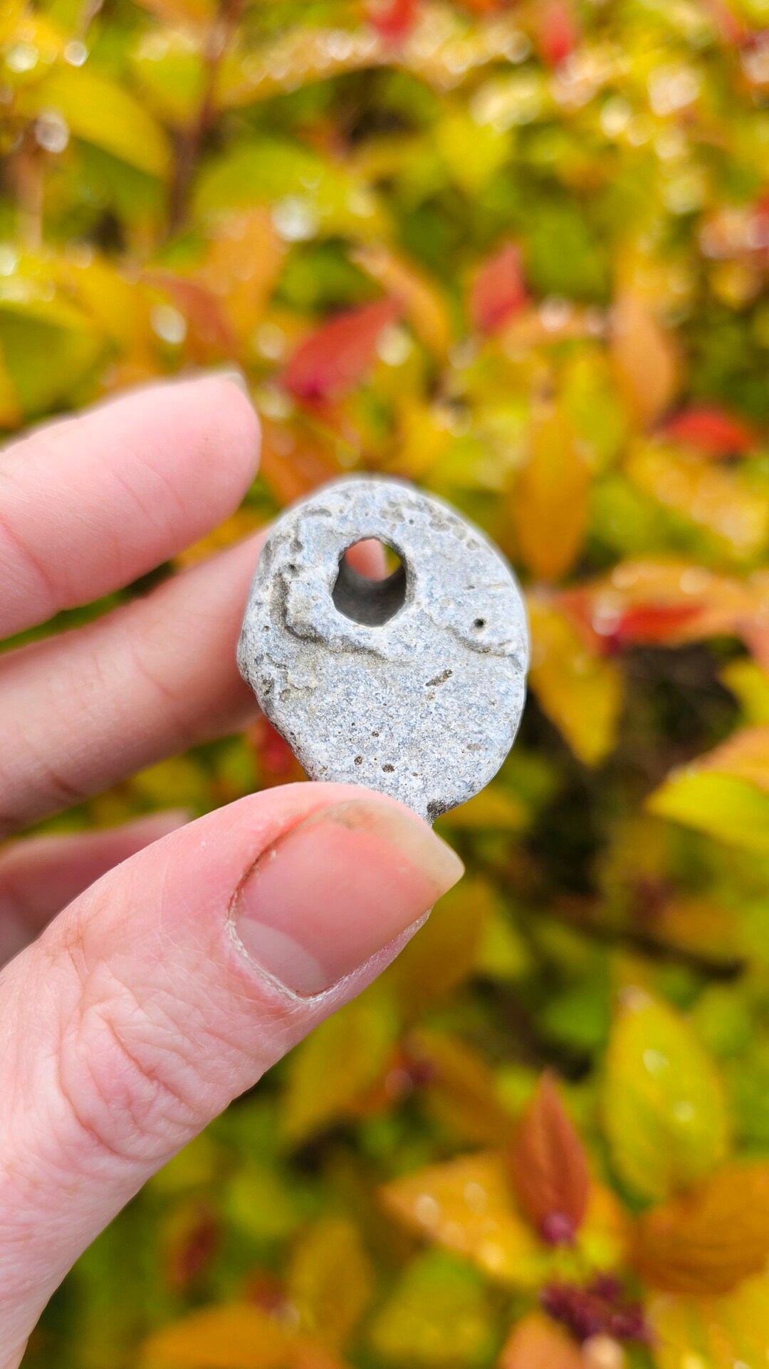 Hag Stone, Small Witches Holey Stone, Natural Welsh Fairy Stone ...