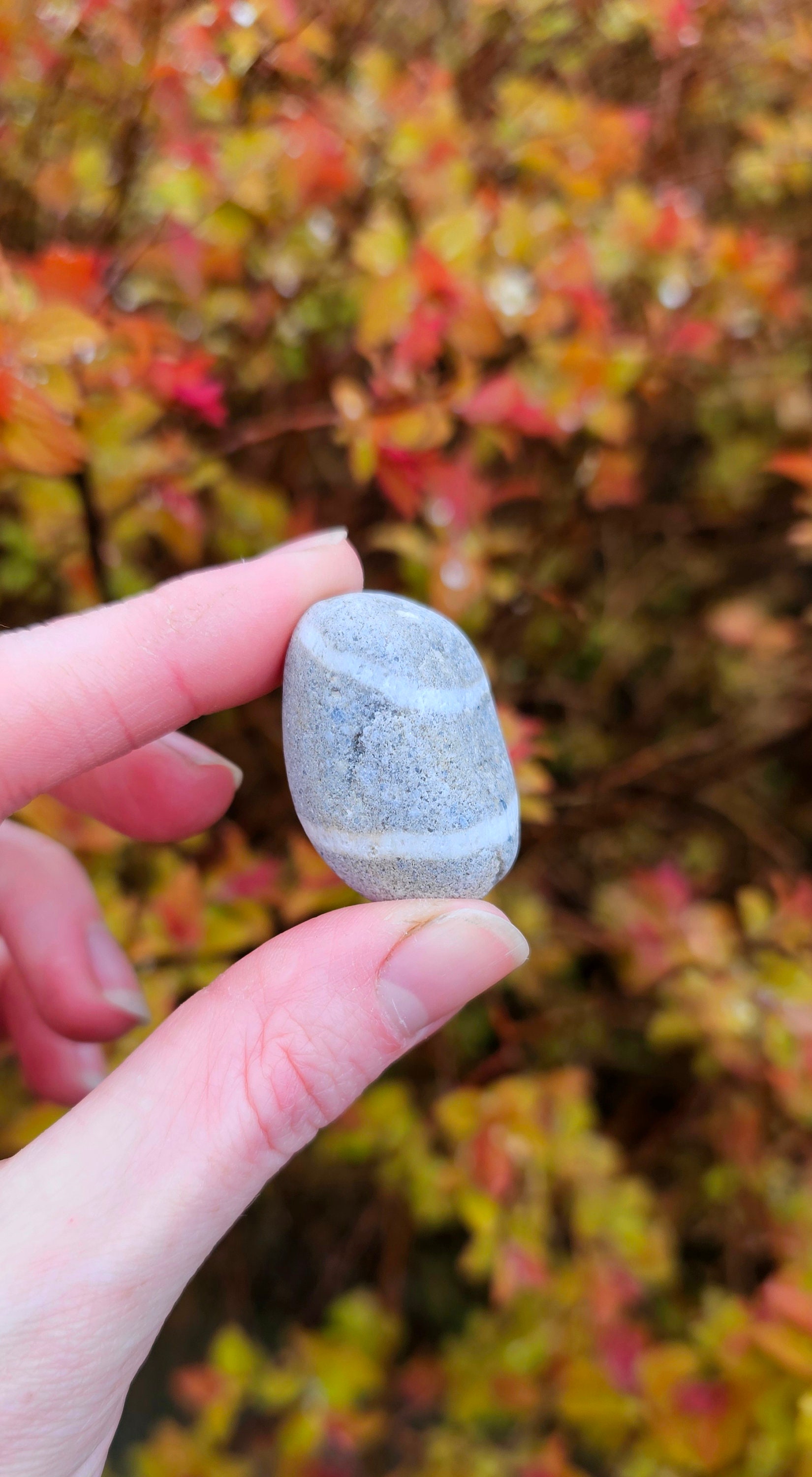 Rare Mini Magic Stone, Natural Wishing Stone, Welsh Wish Stone, Bladder ...