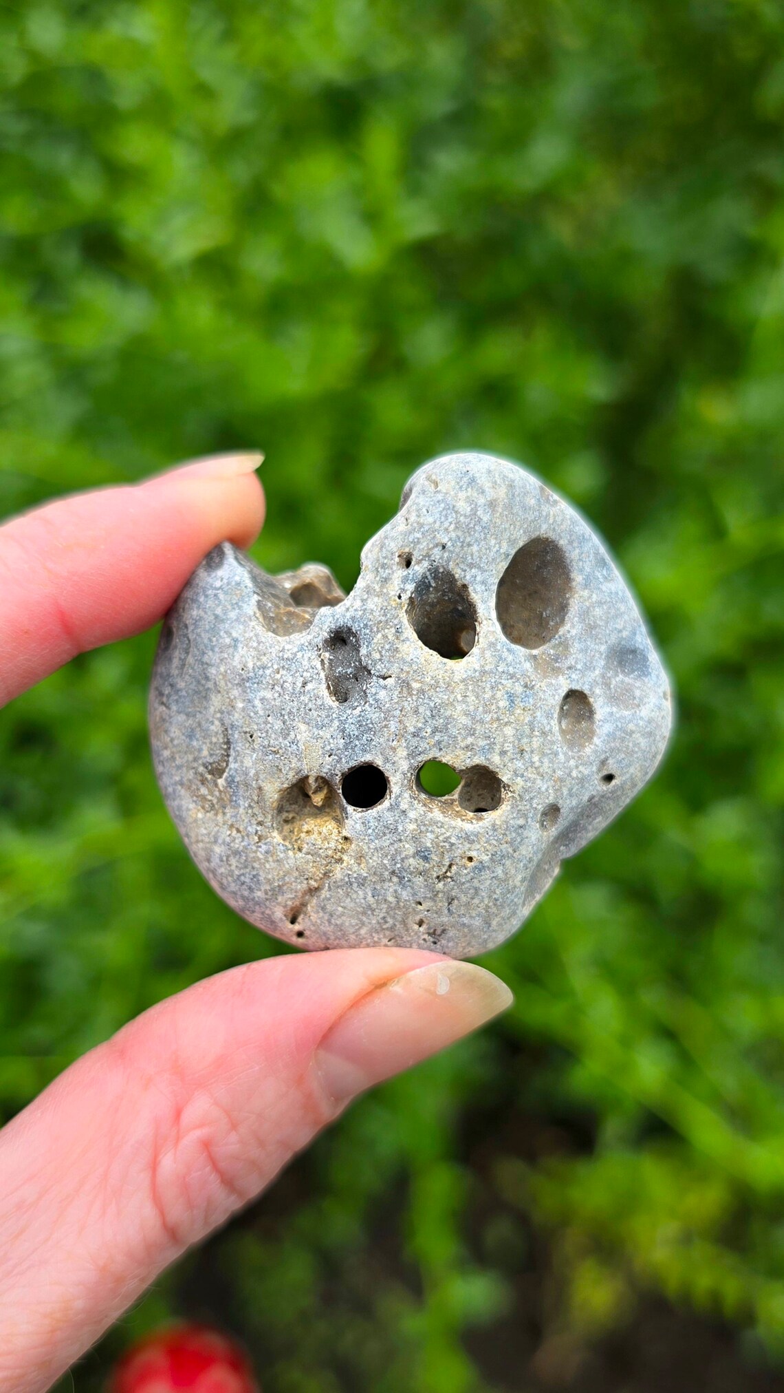 Hag Stone, Small Witches Holey Stone, Natural Welsh Fairy Stone ...