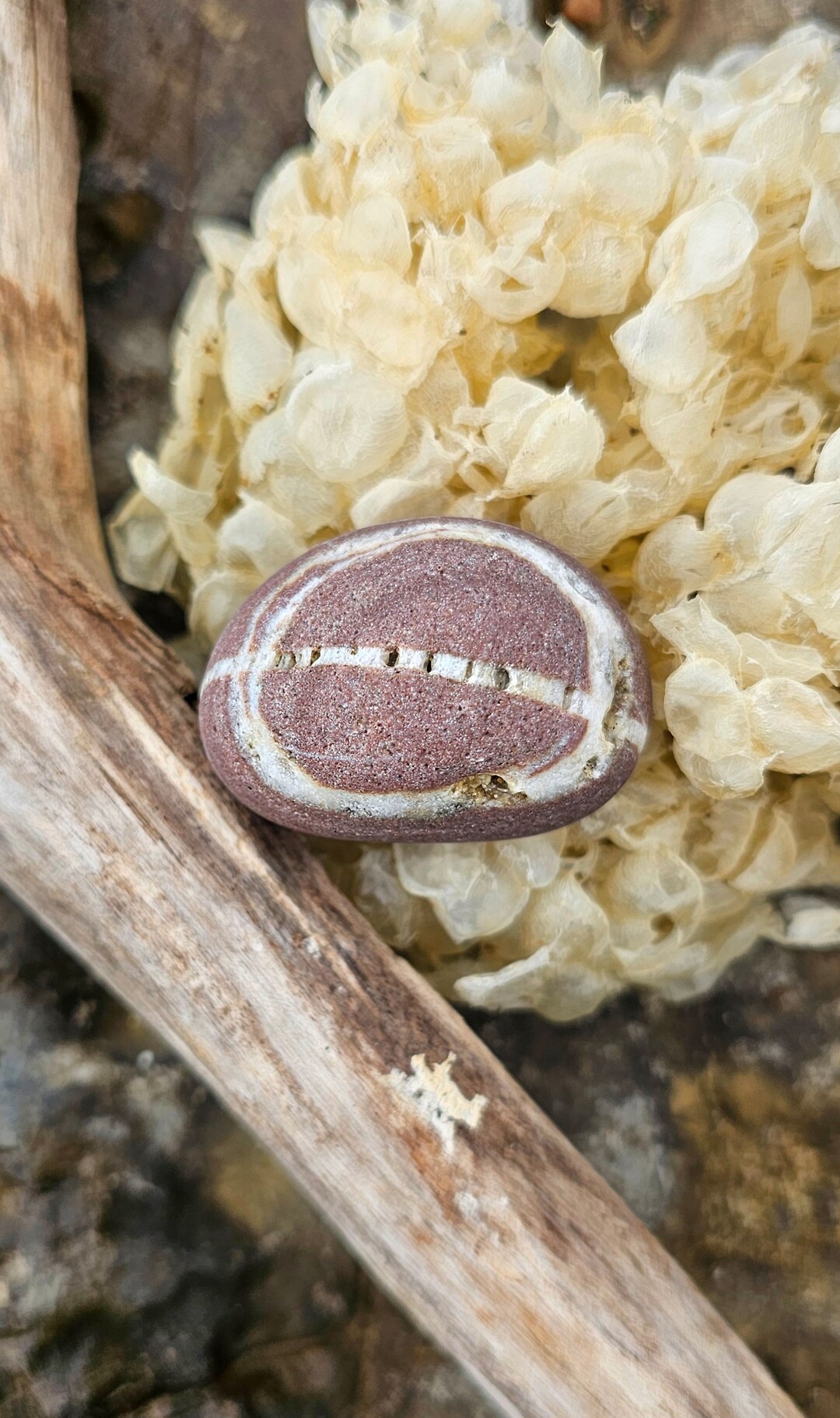 Rare Wishing Stone, Natural Wishing Stone, Welsh Wish Stone, Bladder ...