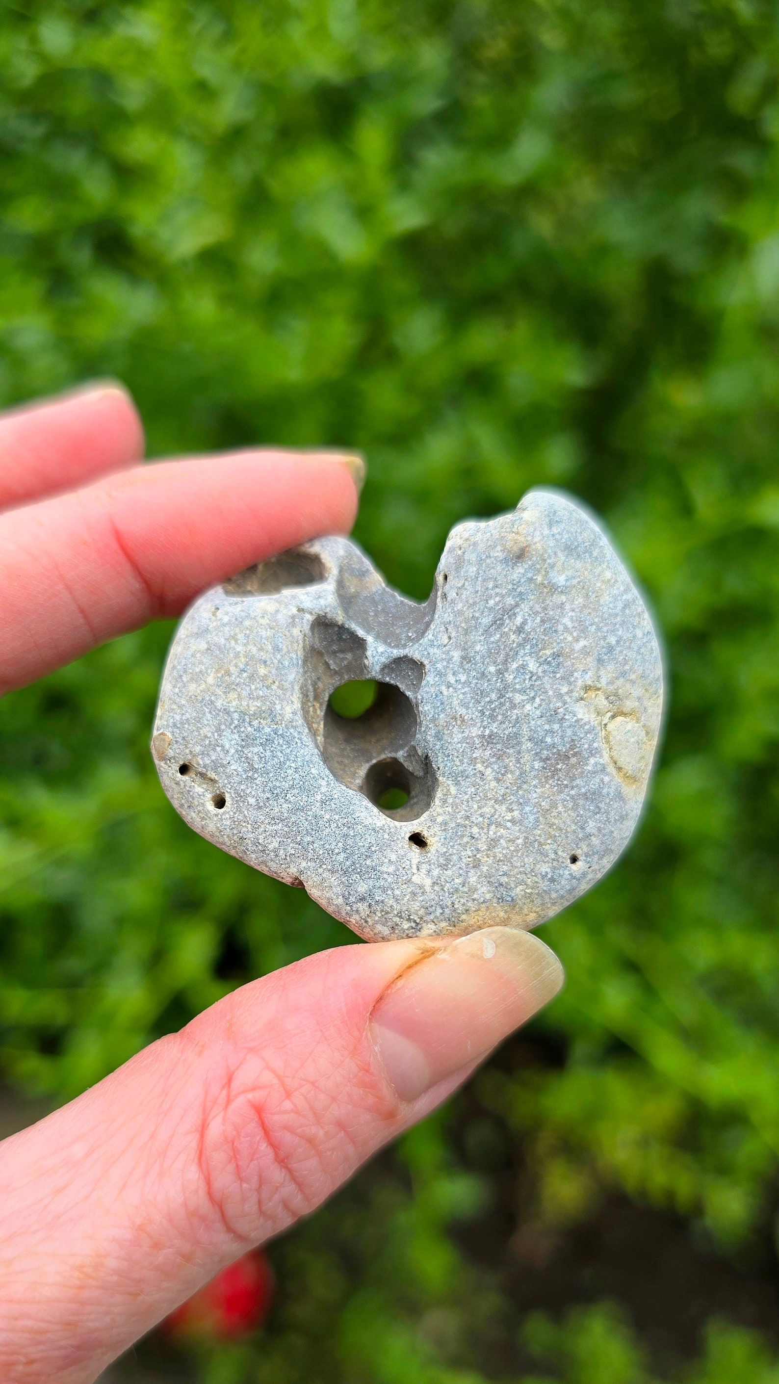 Hag Stone, Small Witches Holey Stone, Natural Welsh Fairy Stone ...
