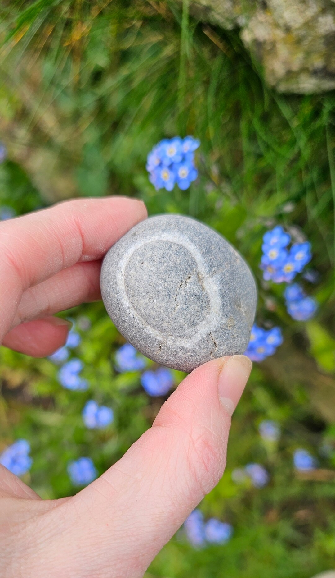 Rare Wishing Stone, Natural Wishing Stone, Welsh Wish Stone, Bladder ...