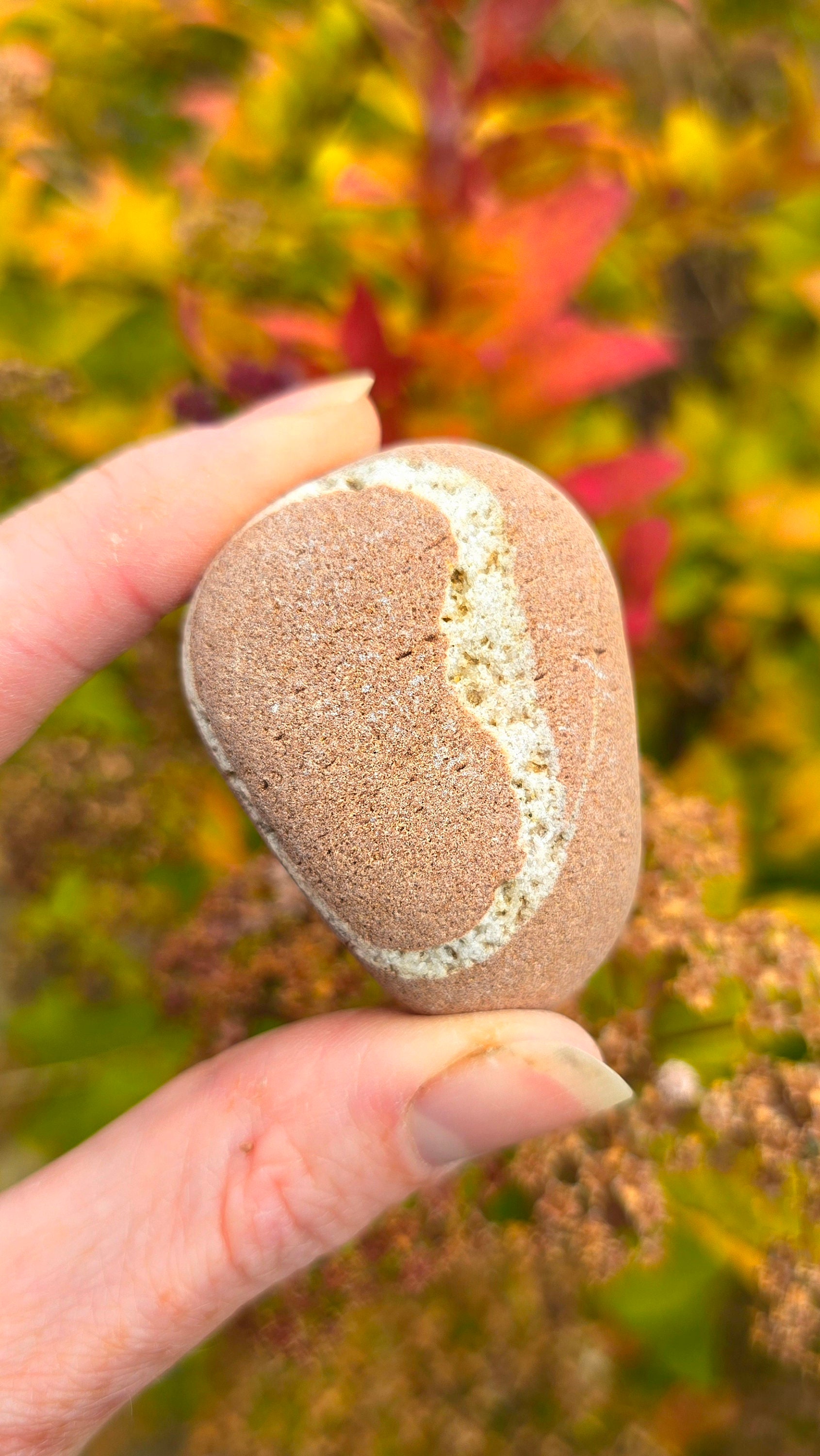 Rare Wishing Stone, Natural Wishing Stone, Welsh Wish Stone, Bladder ...