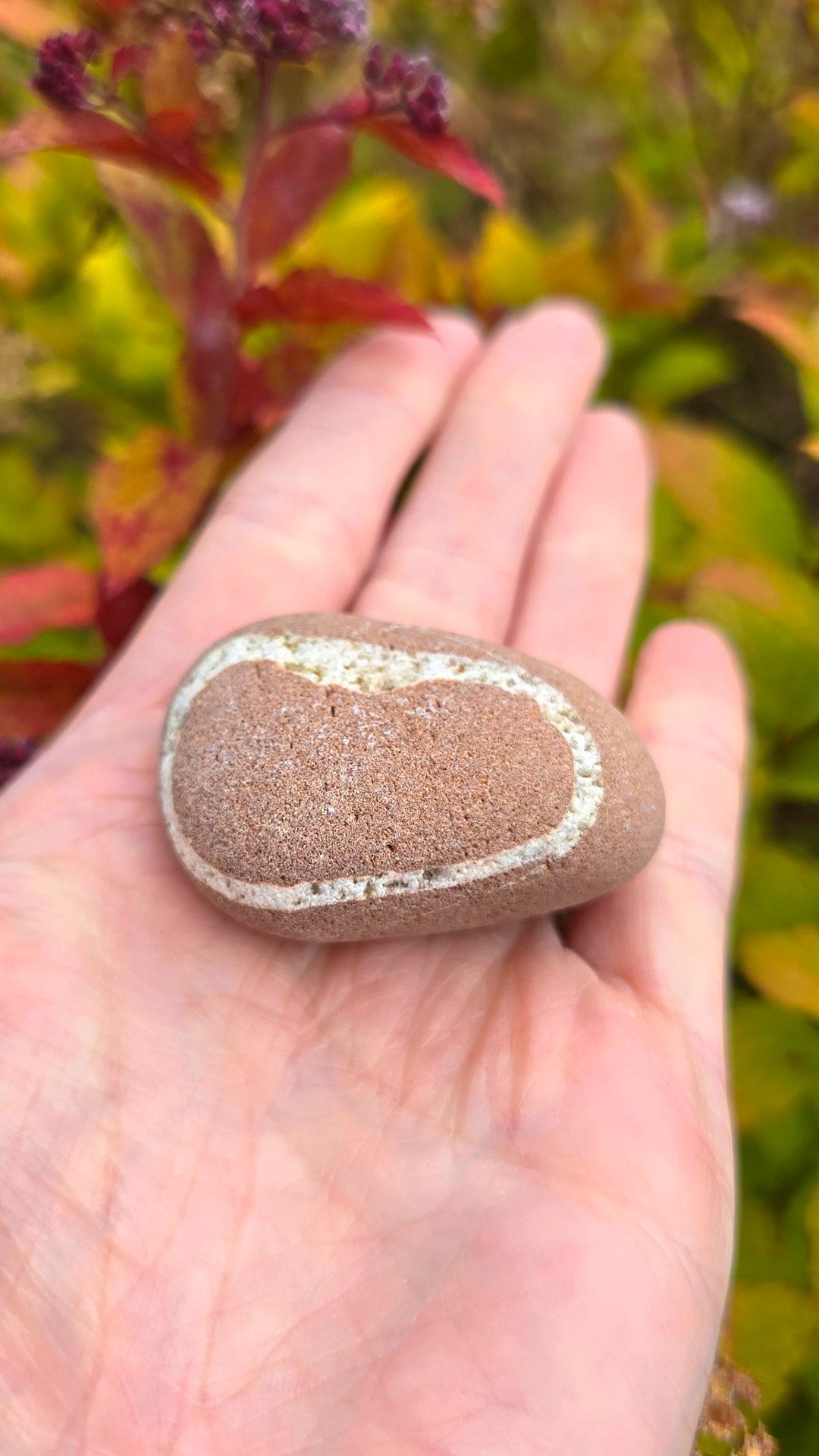 Rare Wishing Stone, Natural Wishing Stone, Welsh Wish Stone, Bladder ...