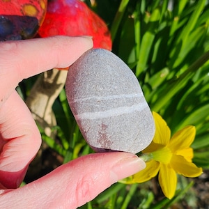 Rare Wishing Stone, Natural Wishing Stone, Welsh Wish Stone, Bladder ...