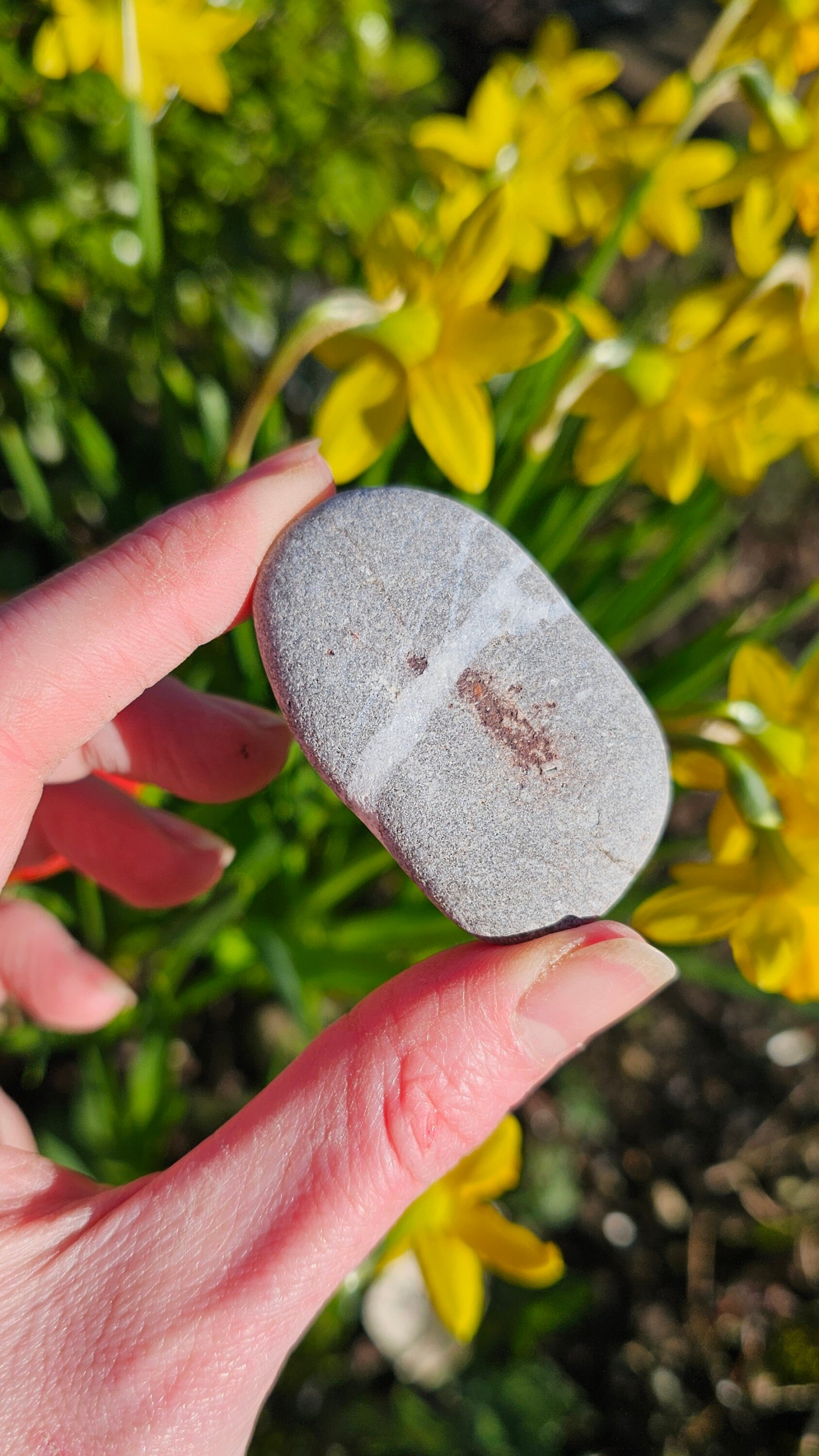 Rare Wishing Stone, Natural Wishing Stone, Welsh Wish Stone, Bladder ...