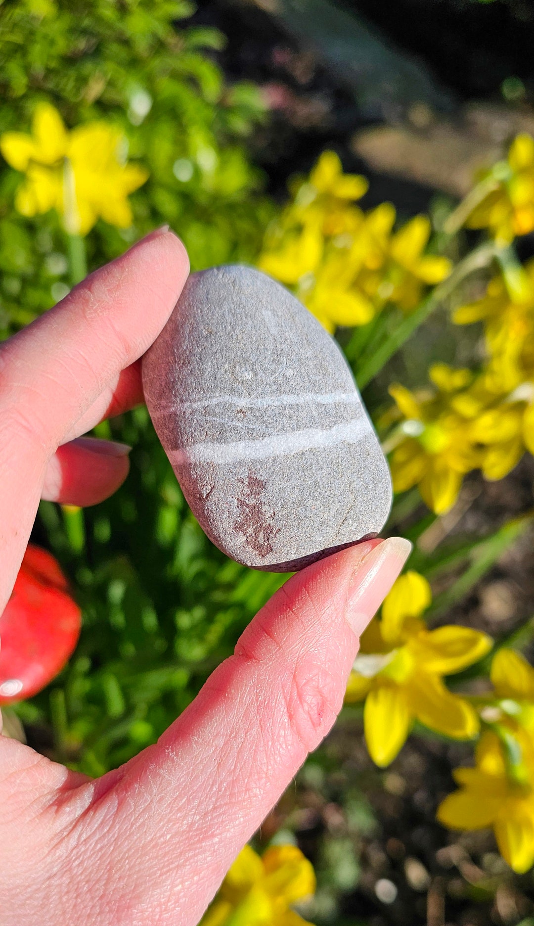 Rare Wishing Stone, Natural Wishing Stone, Welsh Wish Stone, Bladder ...