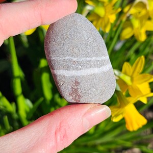 Rare Wishing Stone, Natural Wishing Stone, Welsh Wish Stone, Bladder ...