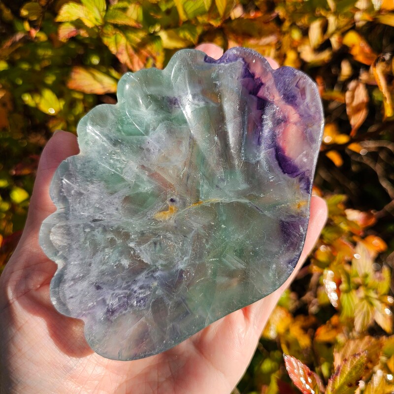 Rainbow Shell - Etsy