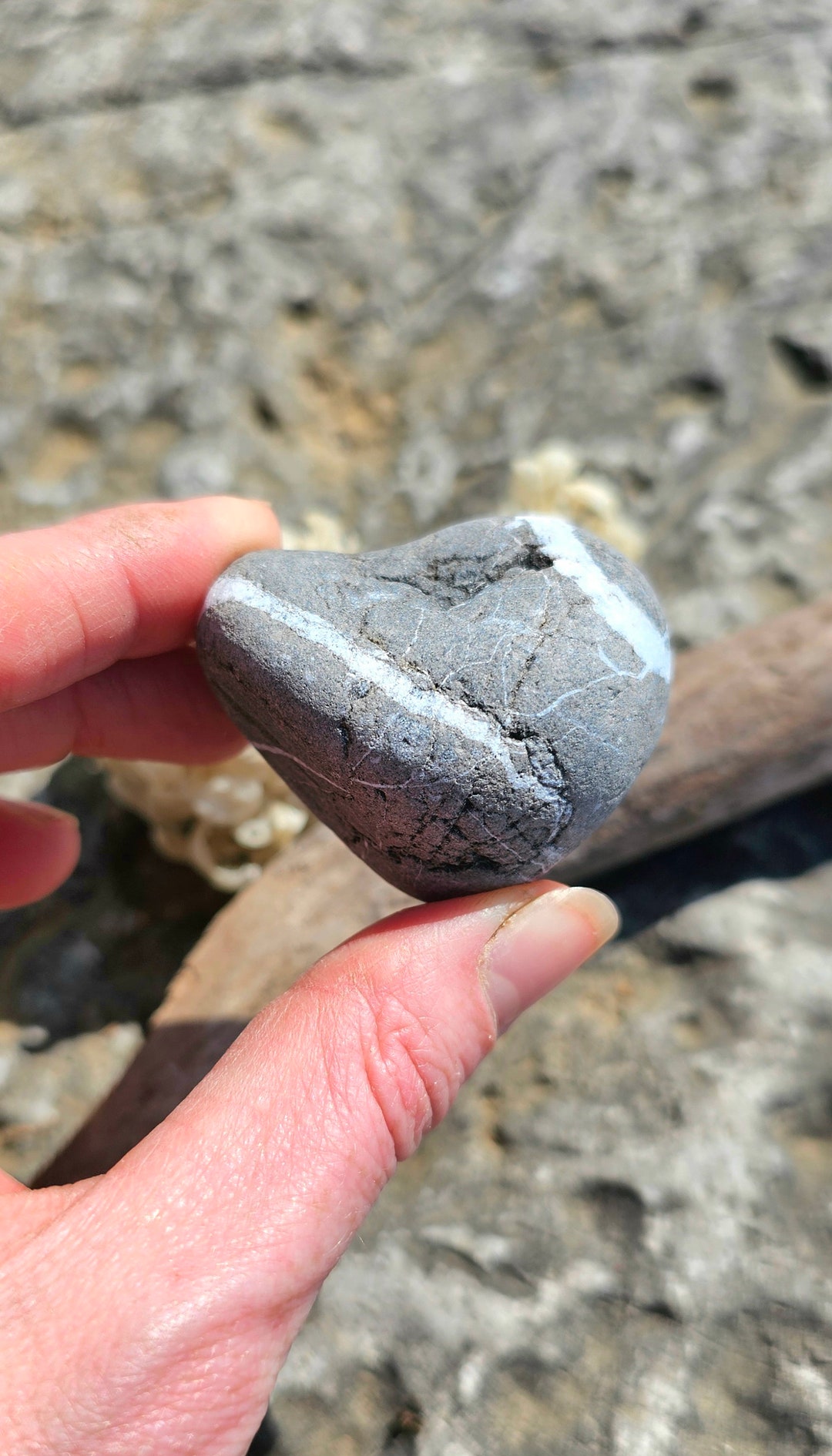 Heart Magic Stone, Natural Wishing Stone, Welsh Wish Stone, Bladder ...