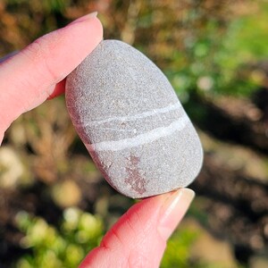 Rare Wishing Stone, Natural Wishing Stone, Welsh Wish Stone, Bladder ...