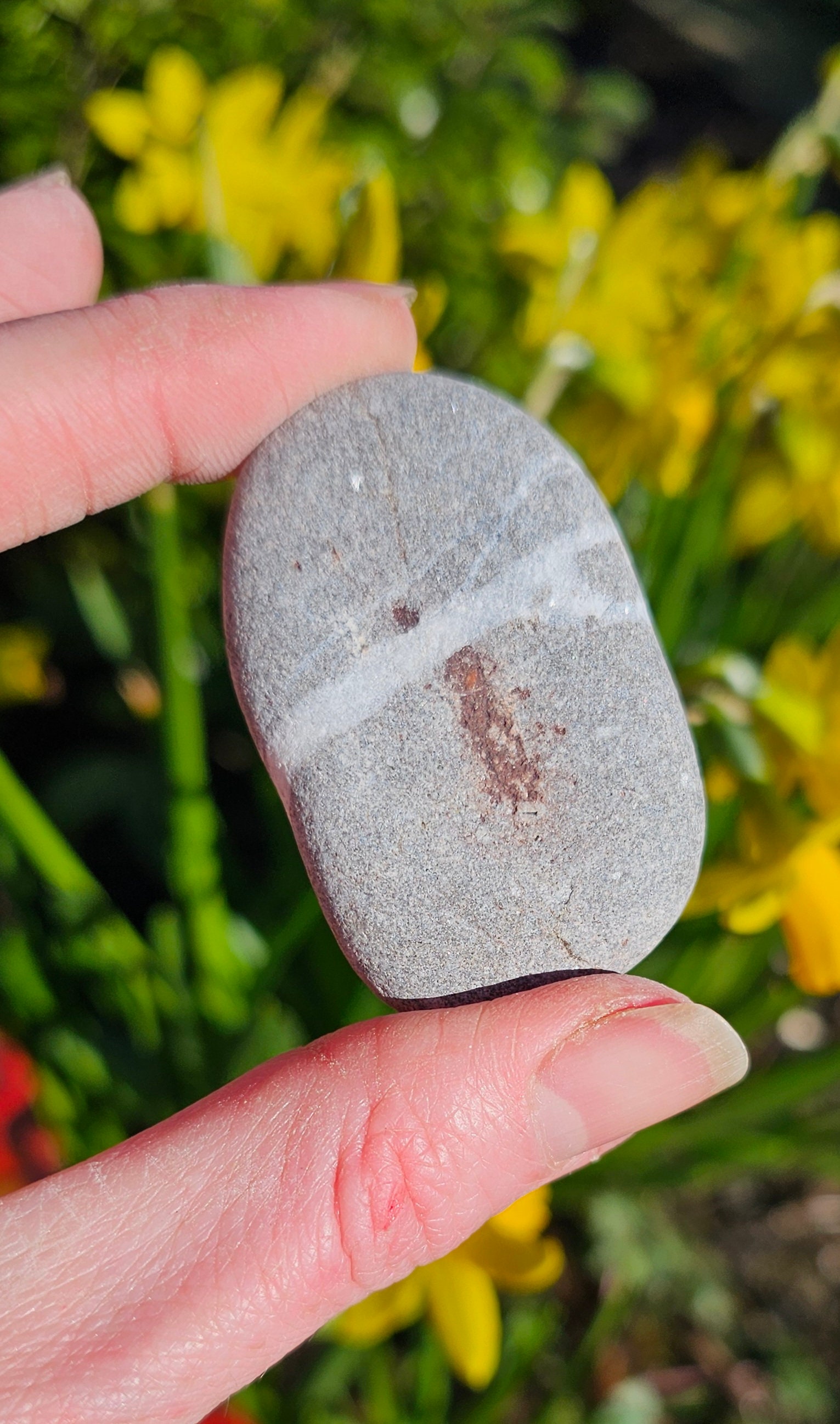 Rare Wishing Stone, Natural Wishing Stone, Welsh Wish Stone, Bladder ...