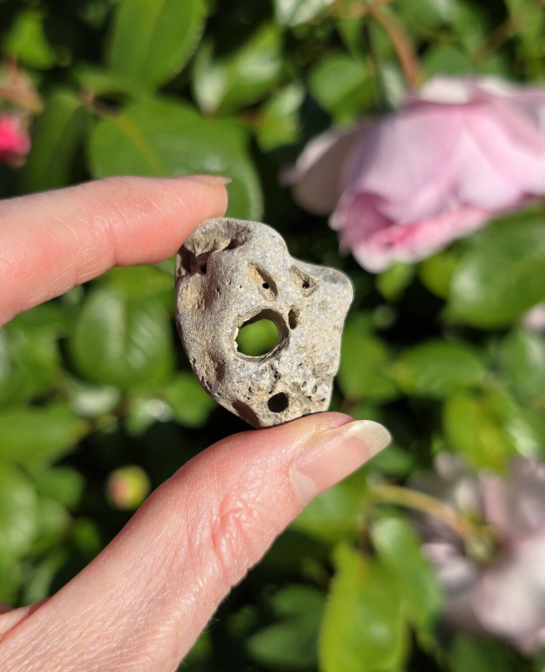 Hag Stone, Small Witches Holey Stone, Natural Welsh Fairy Stone ...