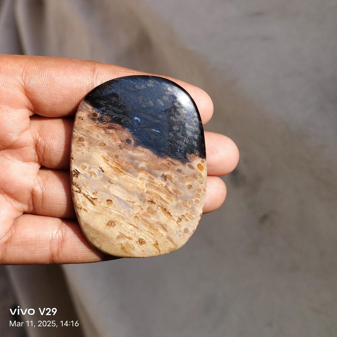 A1-quality Palm Root Handmade Palm Root Loose Gemstone Semi Precious ...
