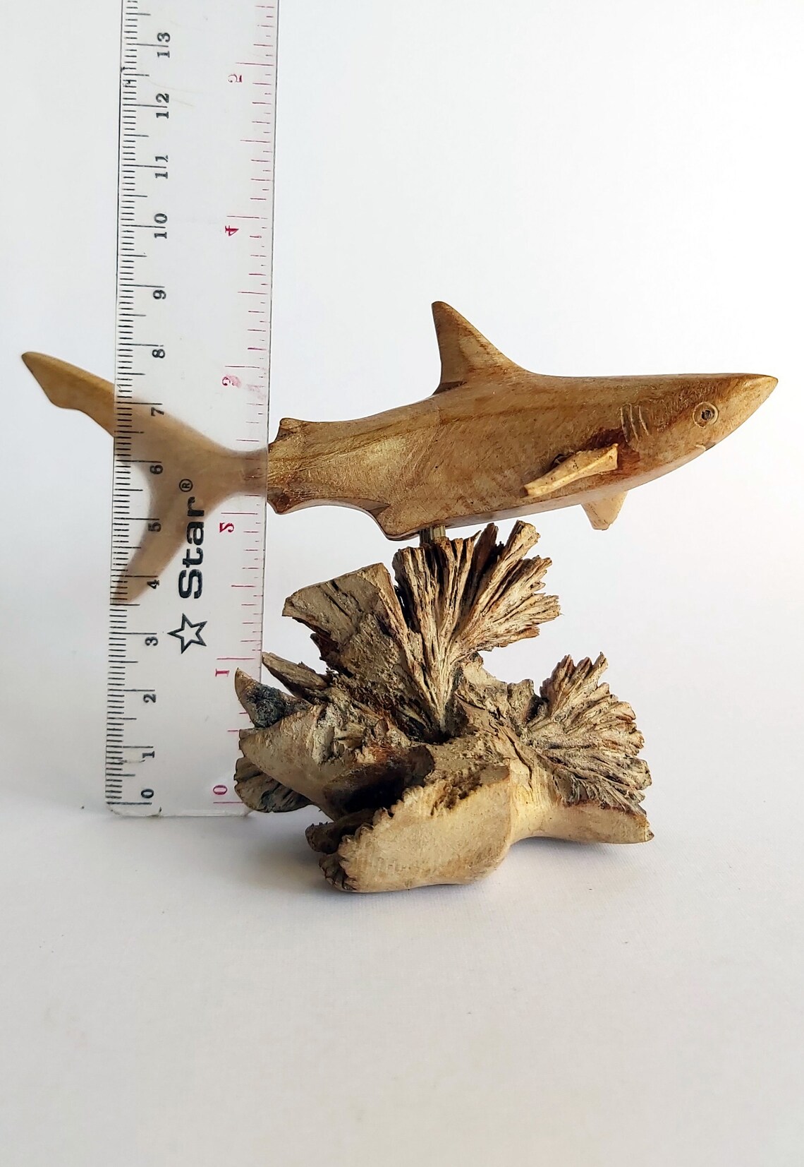 Shark Swimming Over the Coral, Shark Statue, Fish Figure, Sea Animal ...