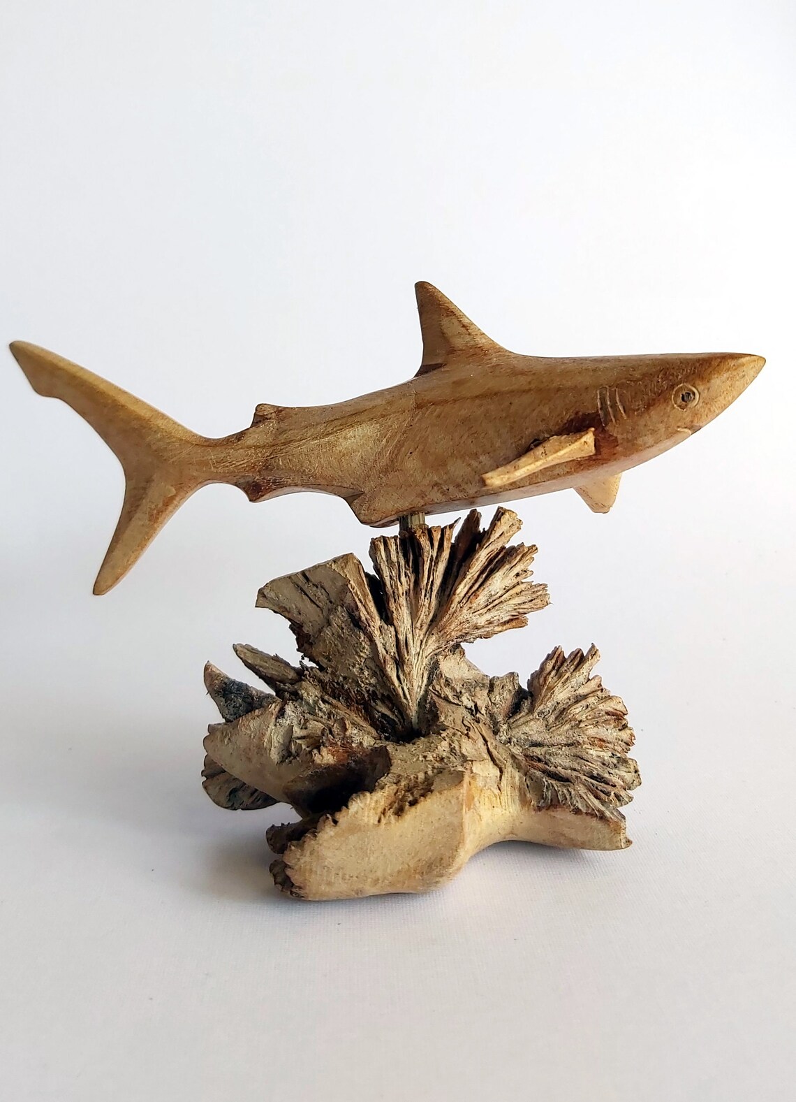 Shark Swimming Over the Coral Shark Statue Fish Figure Sea - Etsy Hong Kong
