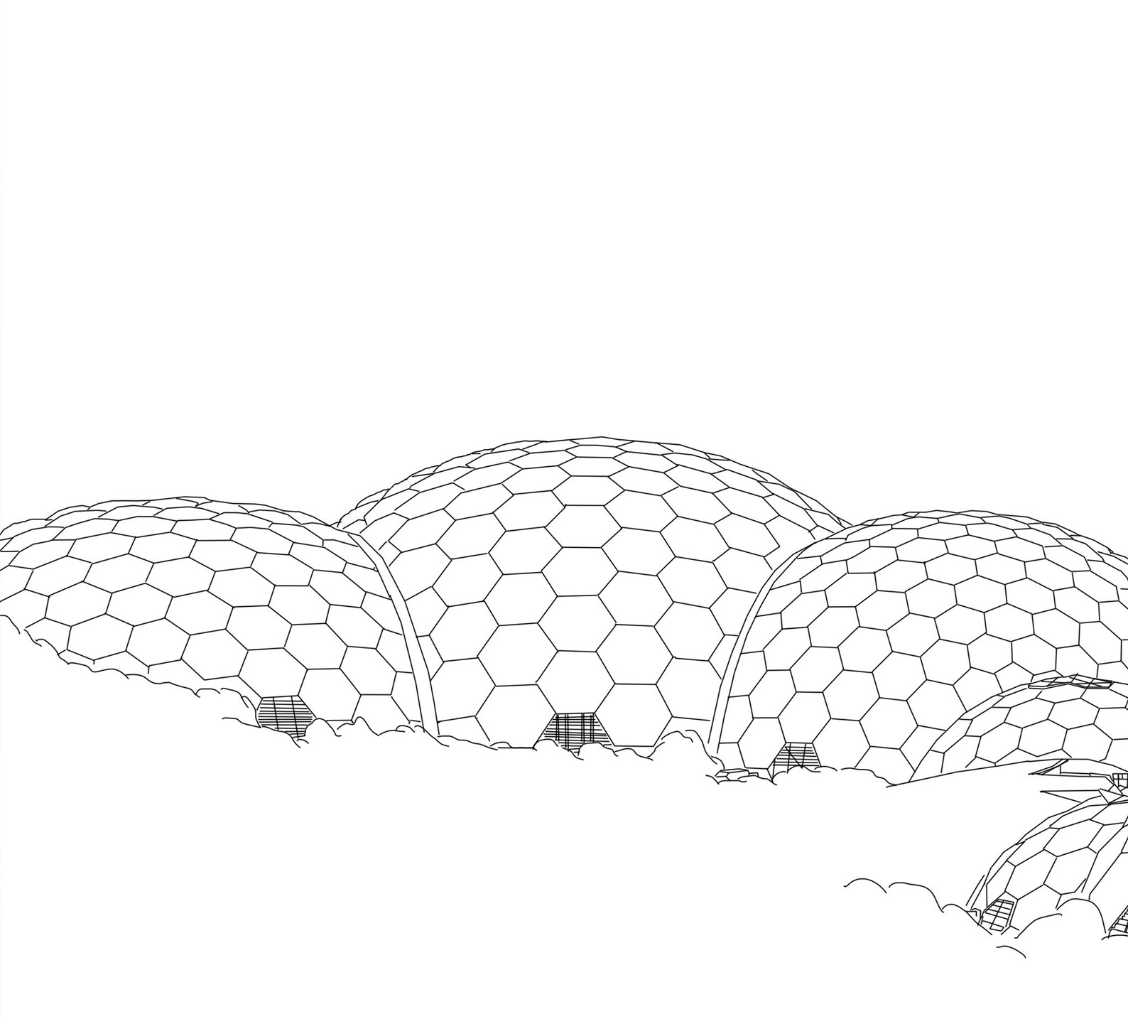 Eden Project, Cornwall, UK, Line Art Drawing, Nature and Plants ...