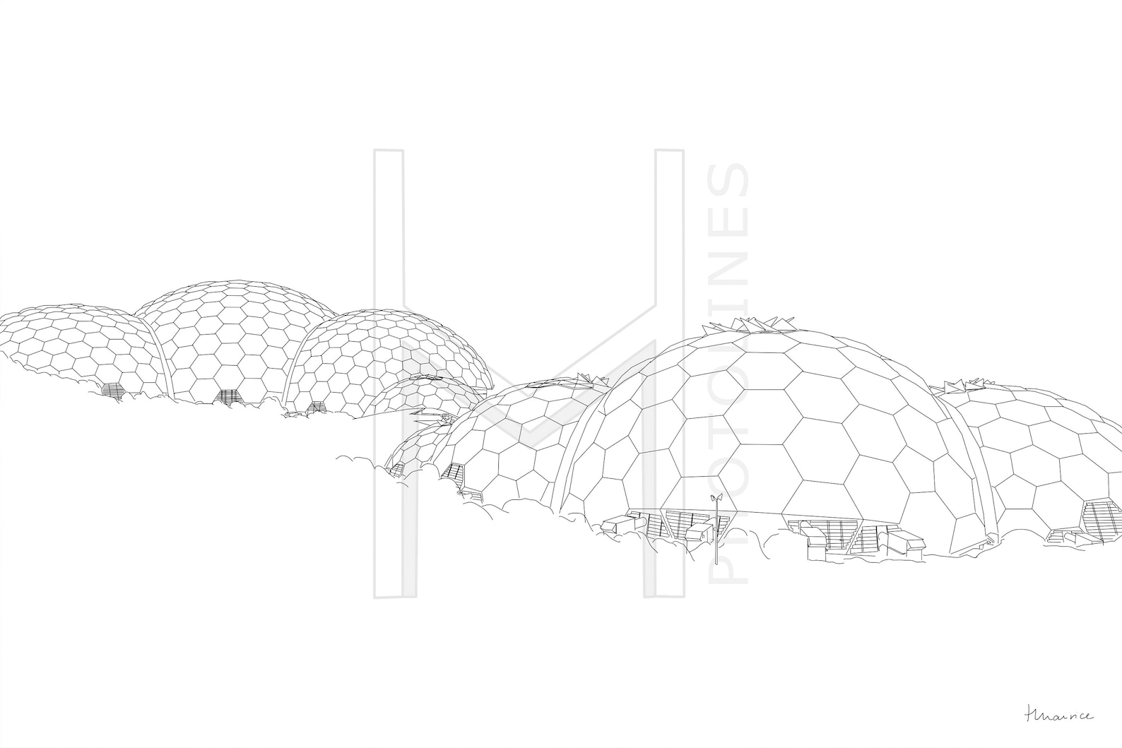 The Eden Project, Cornwall, UK, Travel Line Art Zeichnung, digitaler ...