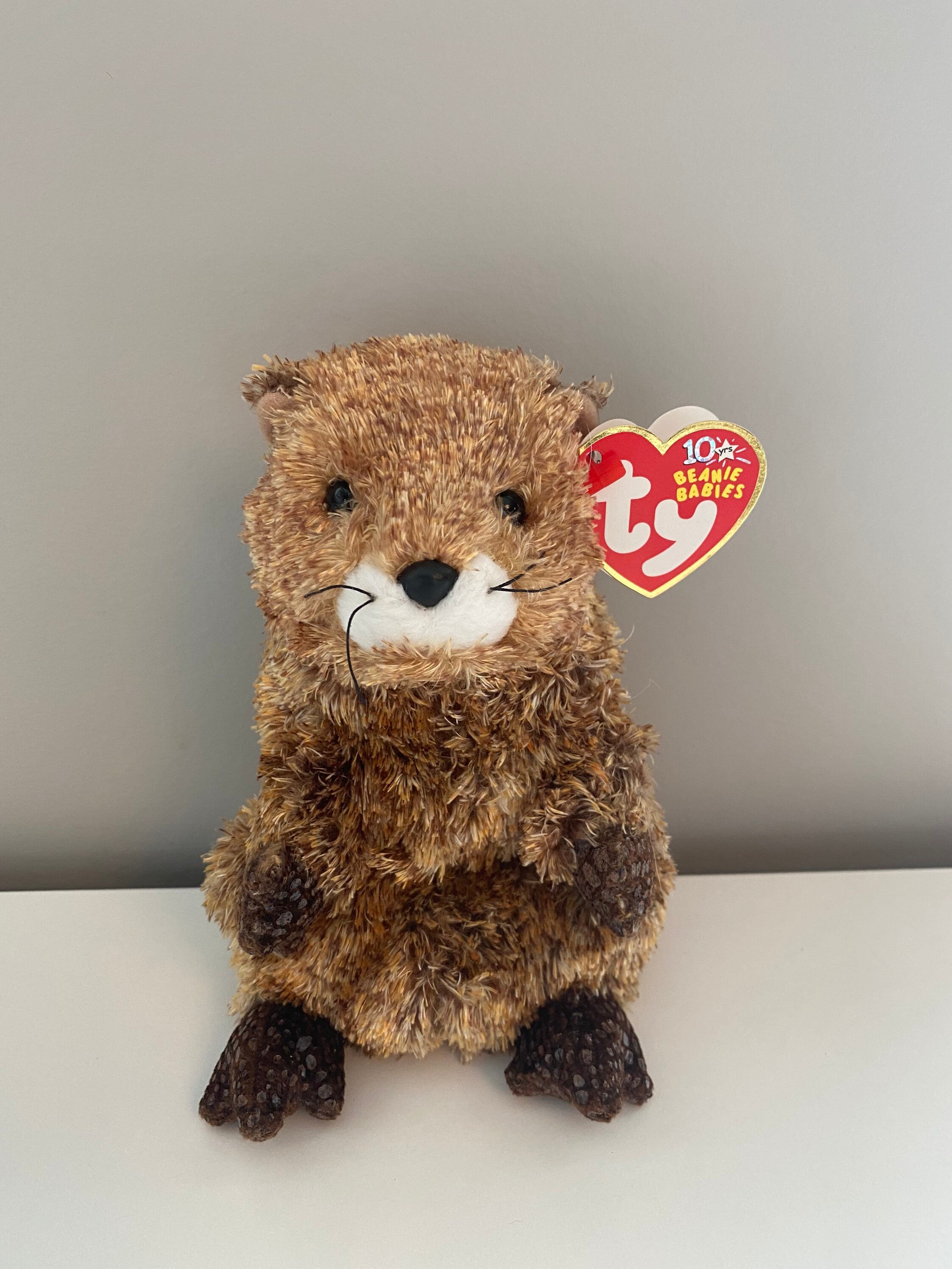TY Beanie Baby Punxsutawn-e Phil the Groundhog Day Plush | Etsy
