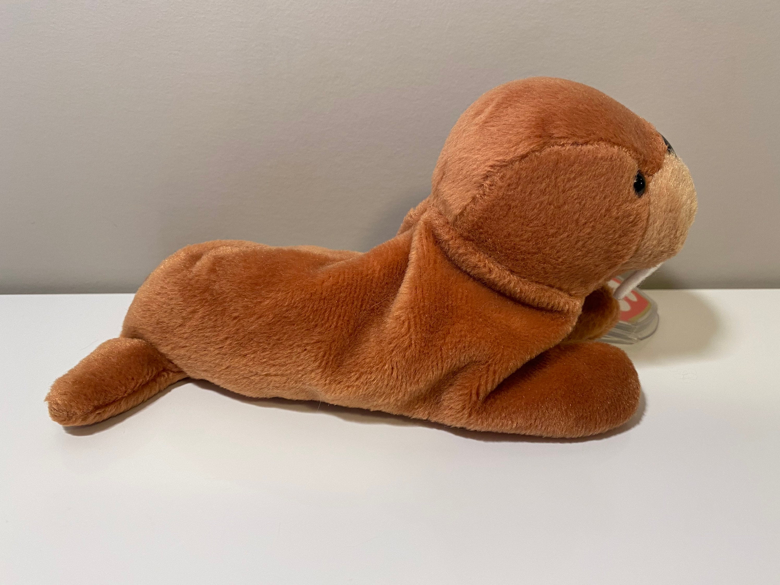 TY Beanie Baby tusk the Walrus 7.5 Inch - Etsy UK