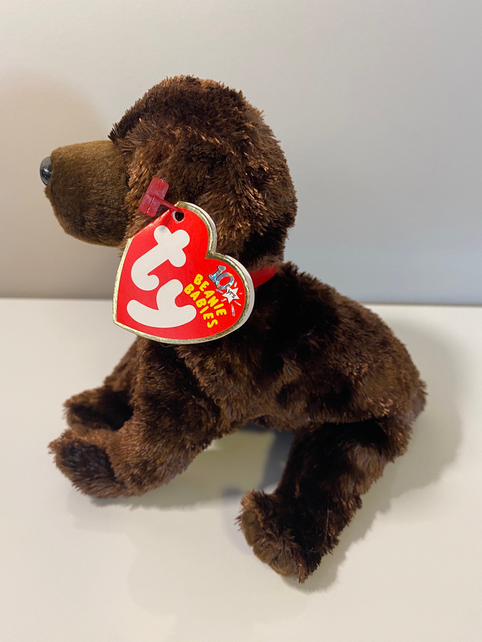 TY Beanie Baby muddy the Brown Lab Dog 7 Inch - Etsy