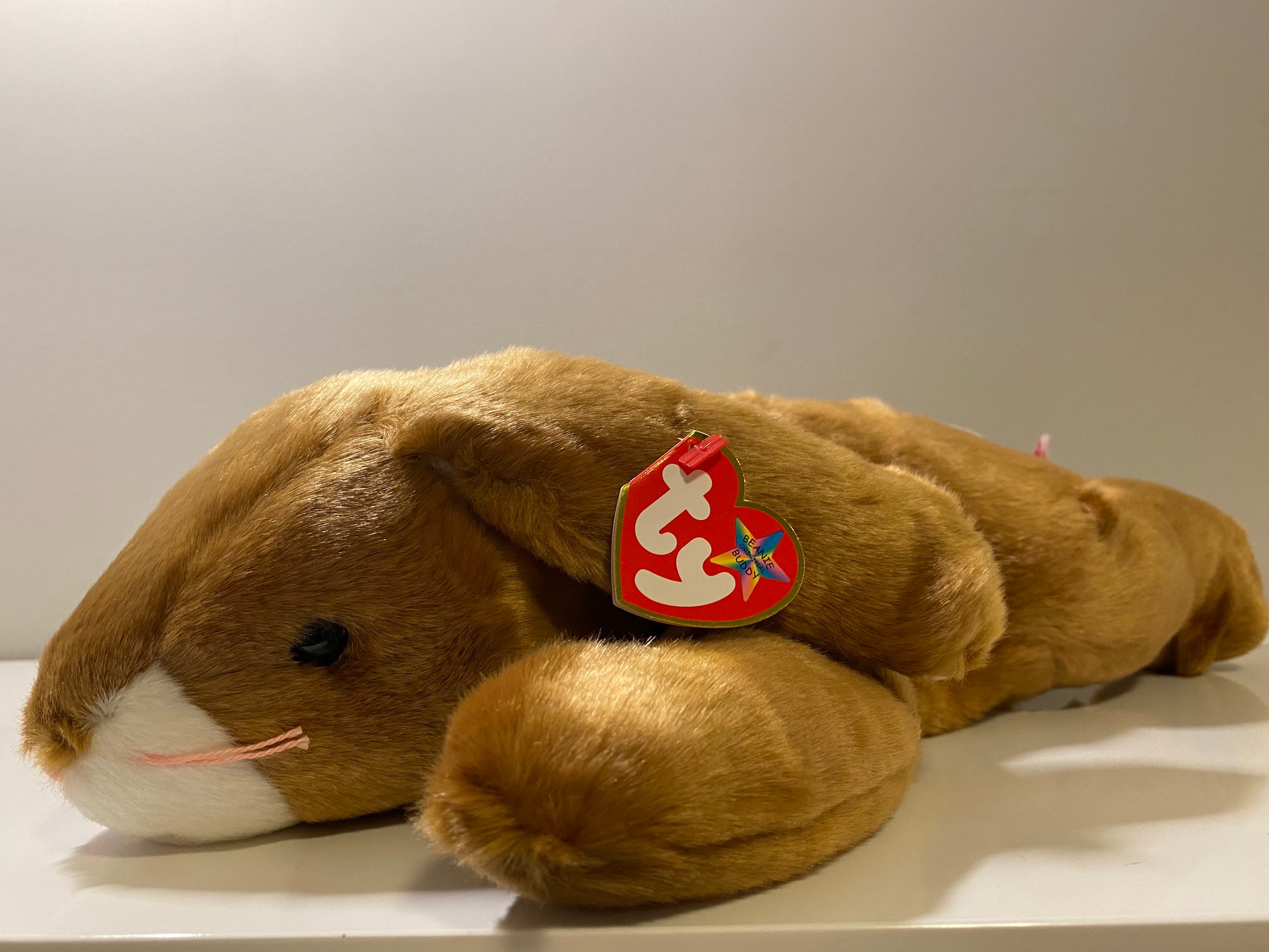 TY Beanie Buddy ears the Bunny Rabbit 13 Inch - Etsy