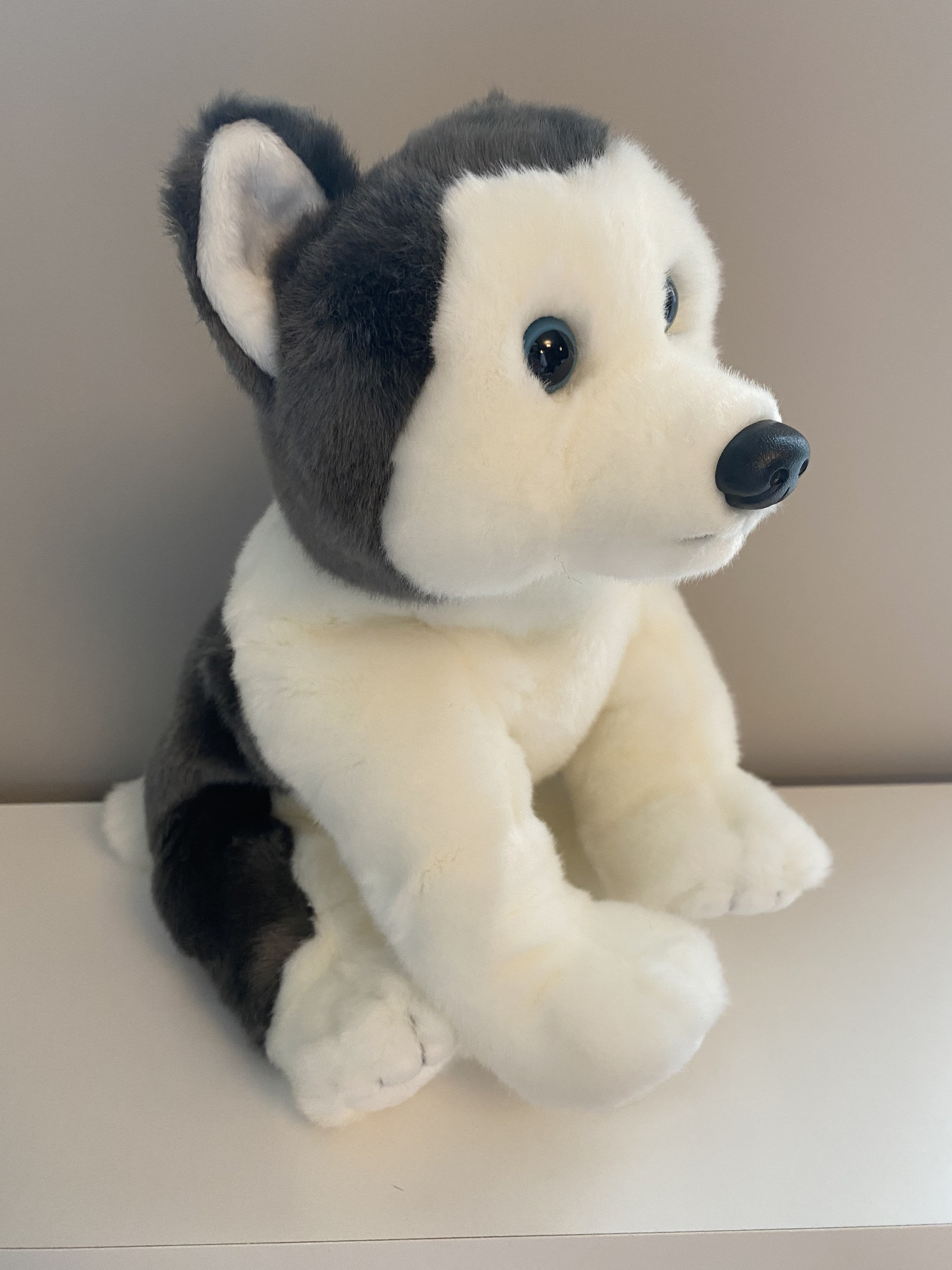TY Beanie Buddy nanook the Husky Dog Plush rare 10 Inch - Etsy New Zealand