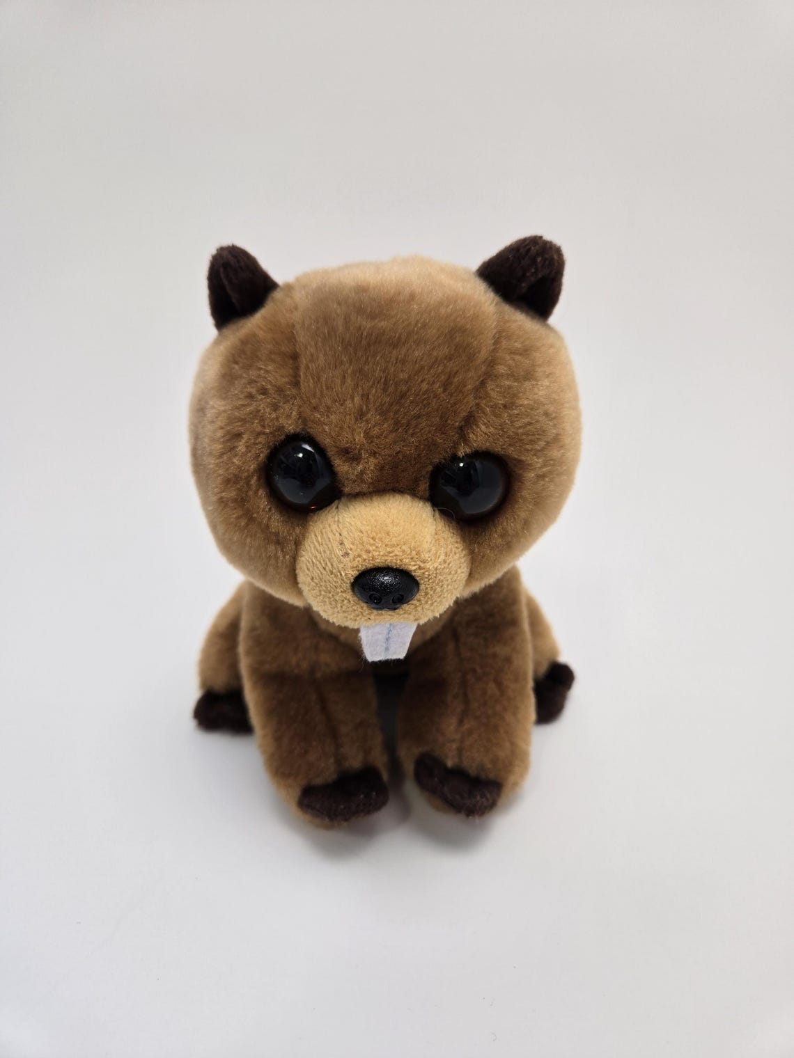 Ty Beanie Baby “richie” the Beaver - No Hang Tag (6 Inch) - Etsy