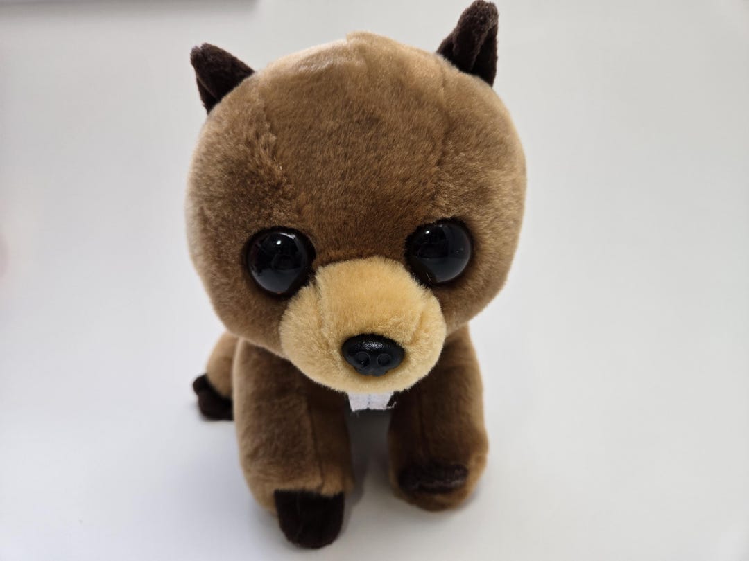 Ty Beanie Baby “richie” the Beaver - No Hang Tag (larger 9 Inch) - Etsy