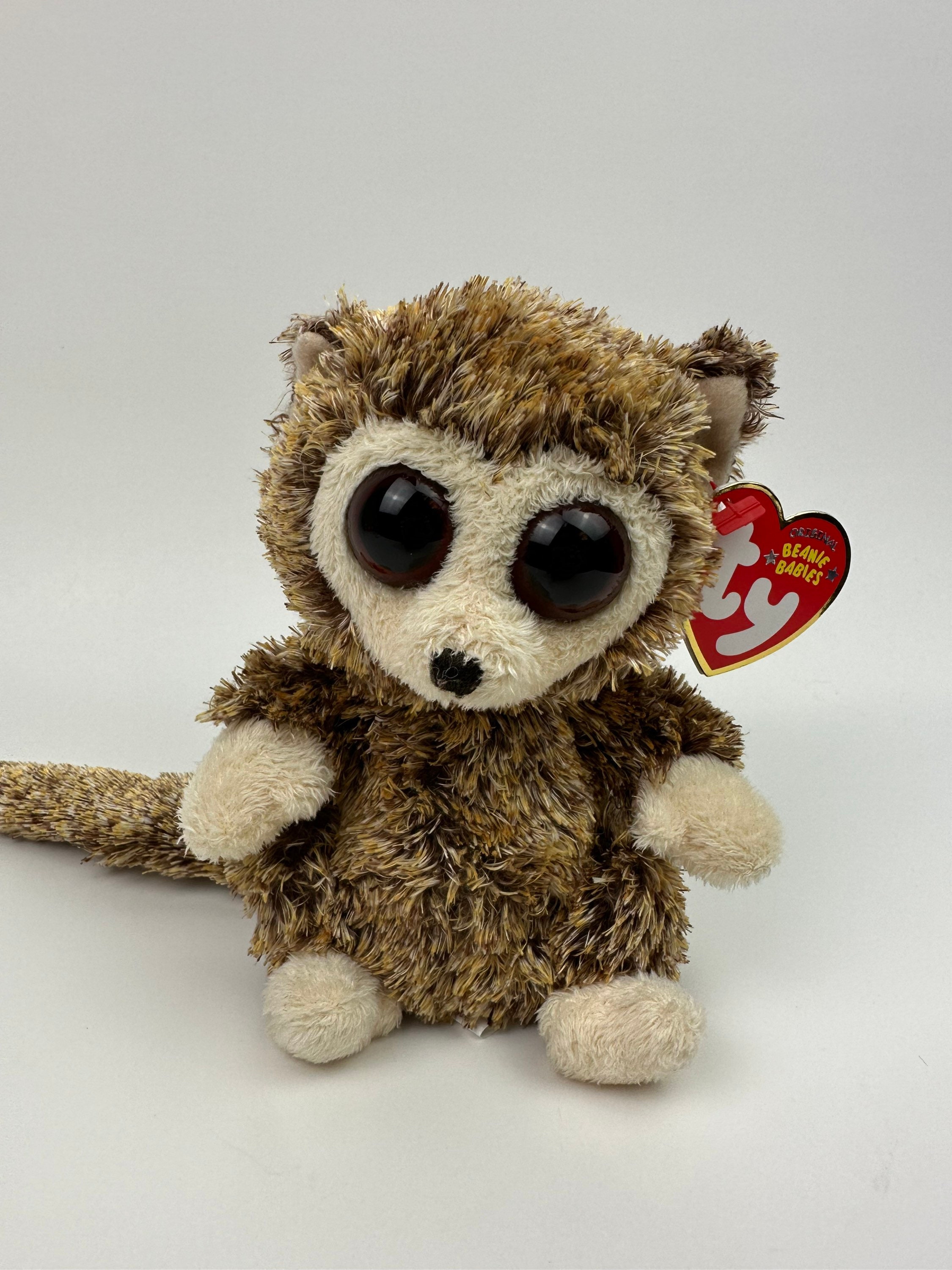 Adorable Bush Baby