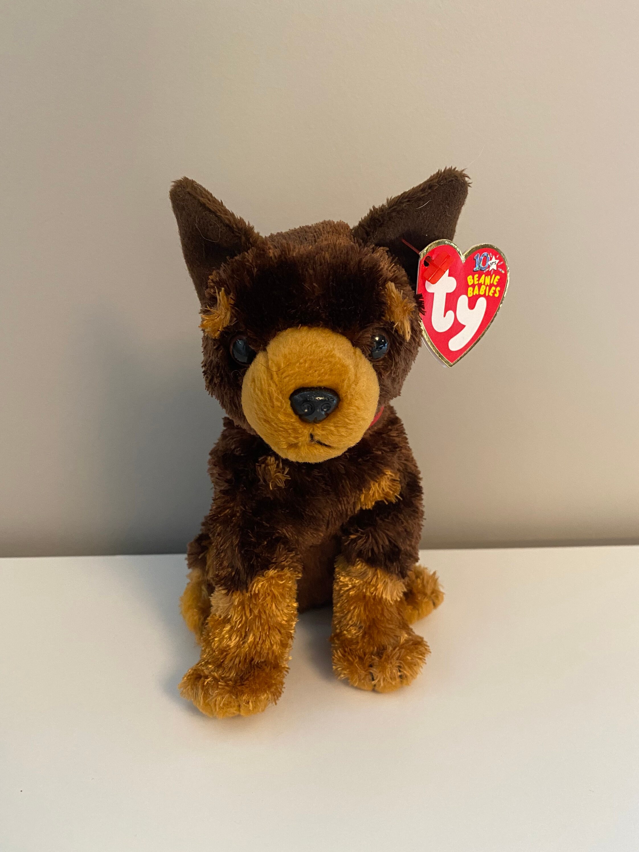 TY Beanie Baby Amigo the Dog Internet Exclusive6 inch | Etsy