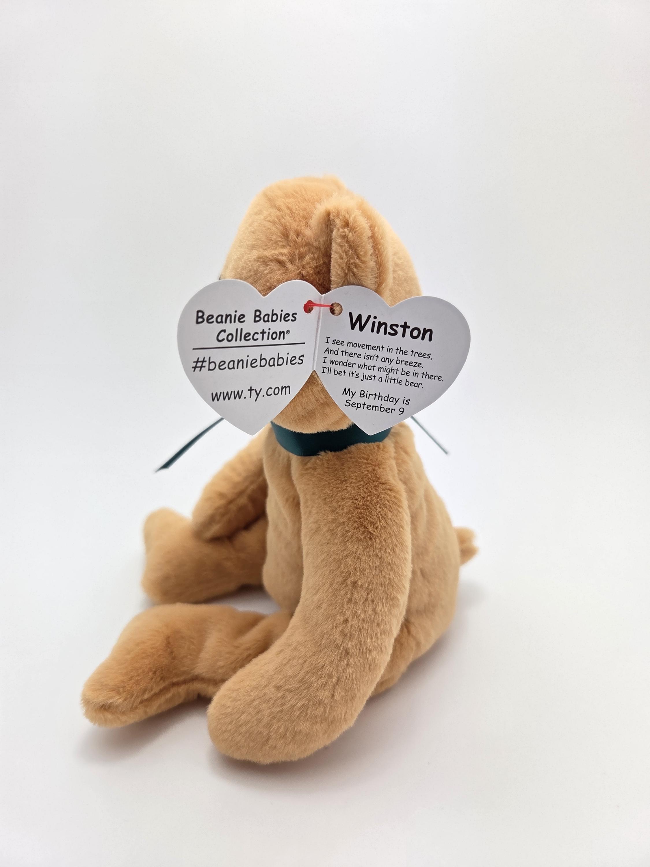 Ty Beanie Baby “winston” the Bear and Baby - 30th Anniversary Series (6 ...