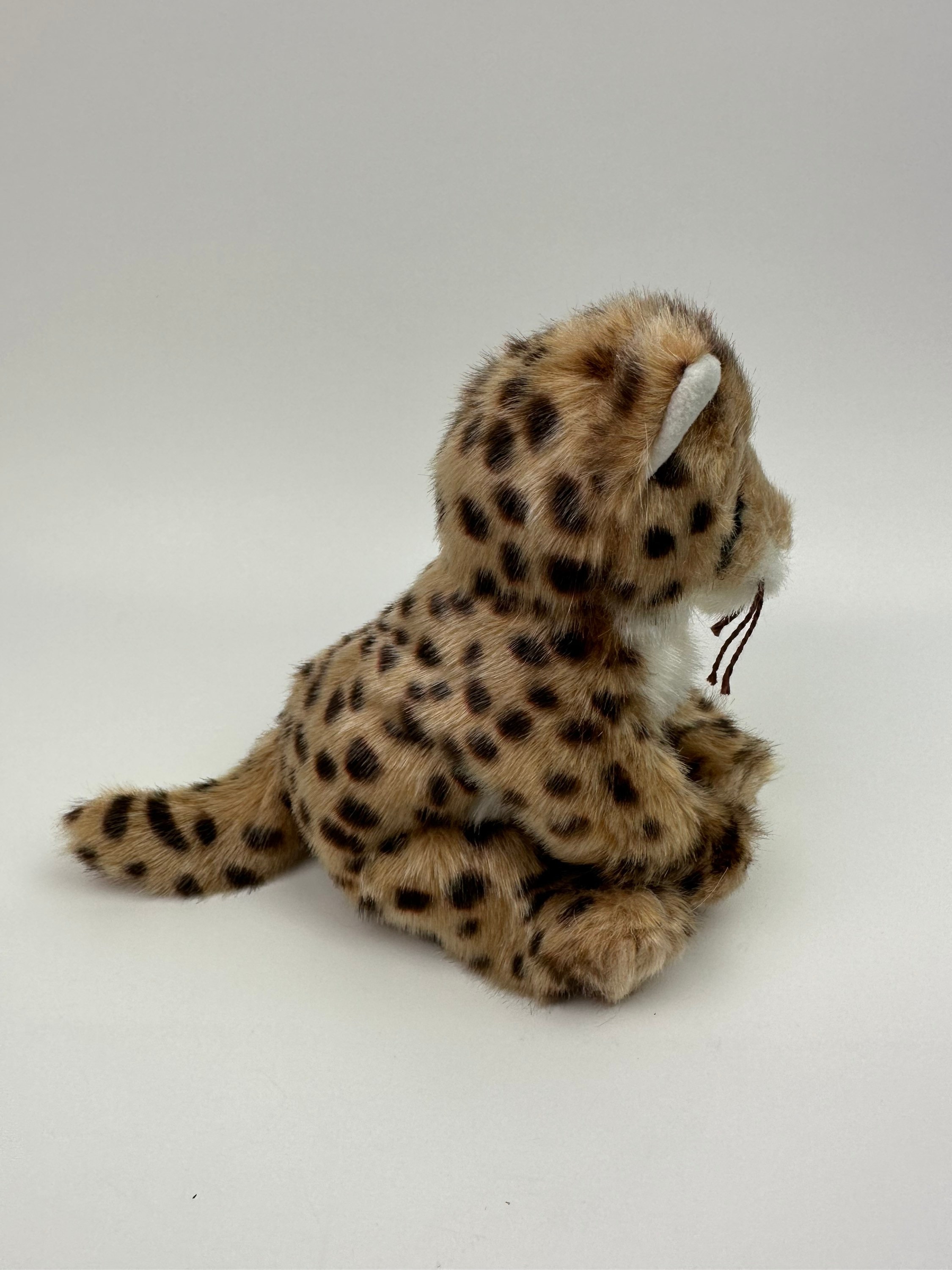 TY Beanie Baby chitraka the Cheetah Internet Exclusive 6 - Etsy