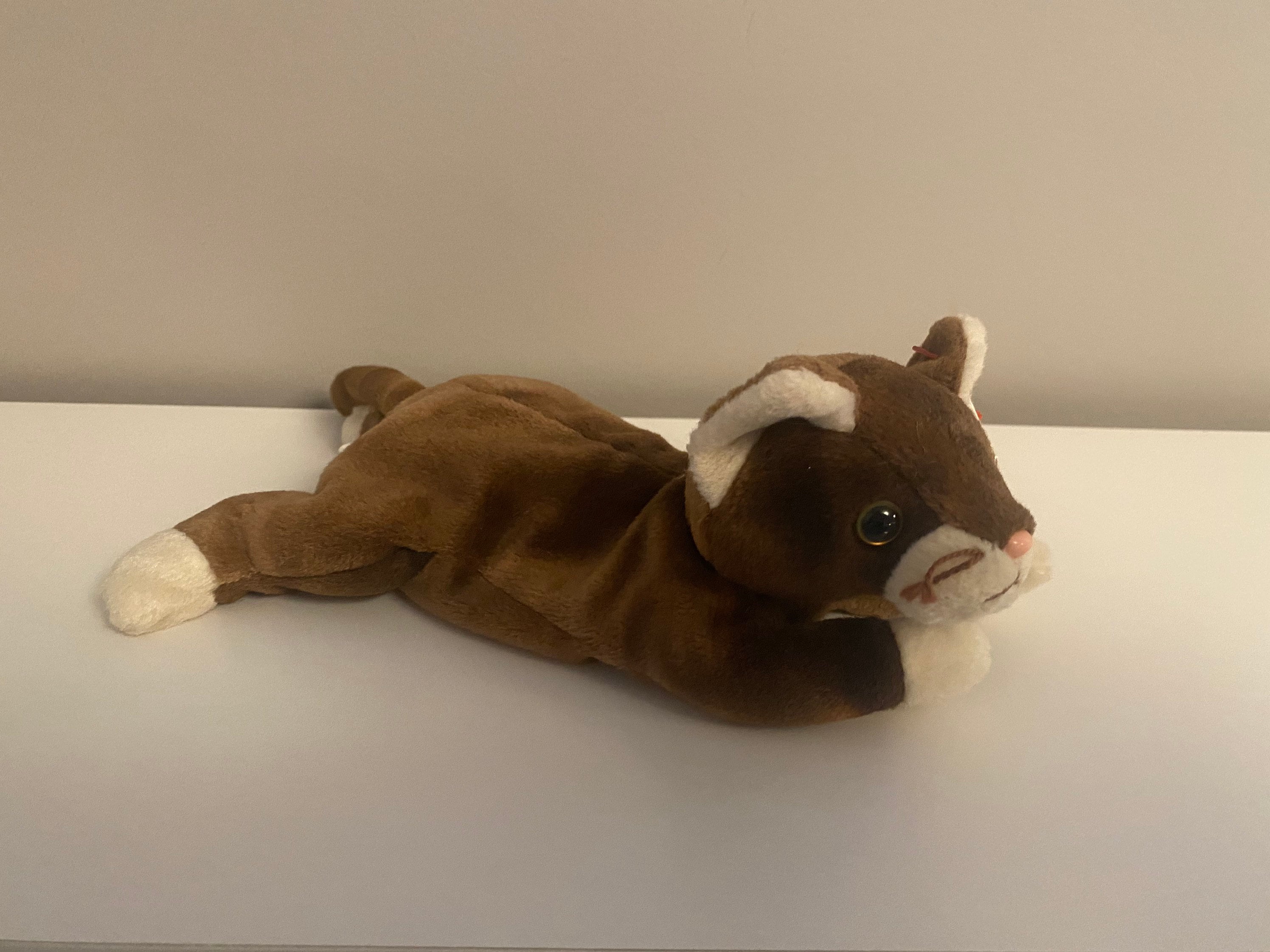 TY Beanie Baby pounce the Cat 8 Inch - Etsy Canada