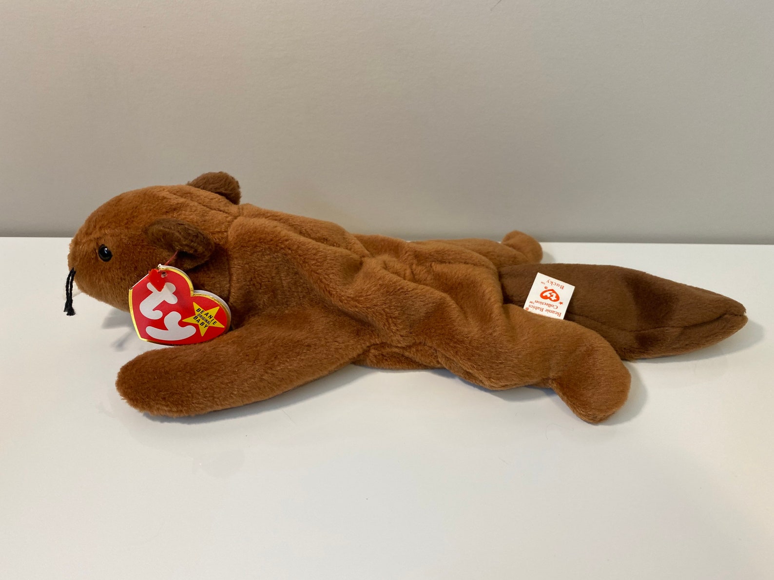 TY Beanie Baby bucky the Beaver 8.5 Inch - Etsy