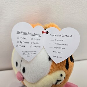 Ty Beanie Baby goodnight Garfield the Garfield Cat Holding Pooky 9 Inch ...