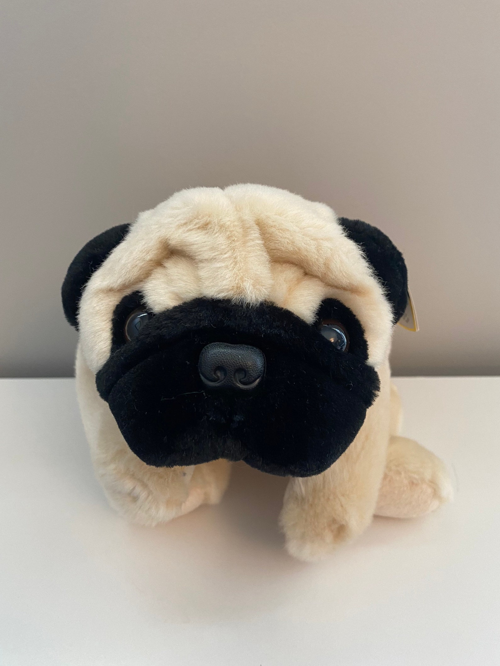 TY Beanie Buddy Pugsly the Adorable Pug Plush 13 inch | Etsy