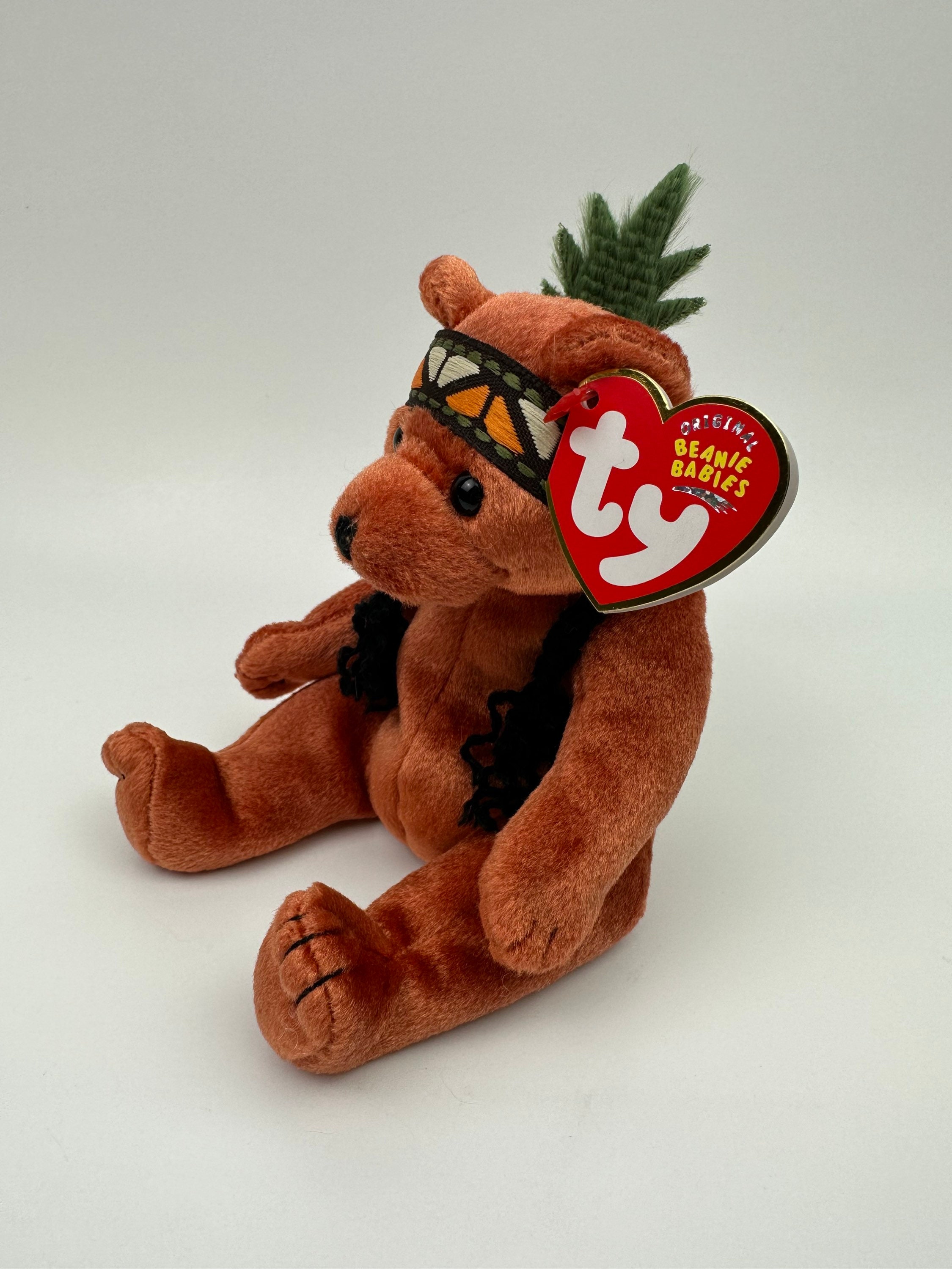 Ty Beanie Baby “little Feather” the First Nations, Métis, Inuit Bear ...