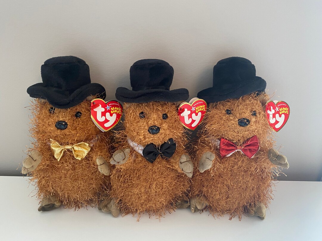 TY Beanie Baby punxsutawney Phil the Groundhog Day Plush - Etsy
