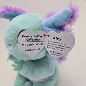 Ty Beanie Bellies Alex the Axolotl! (6 Inch) - Etsy