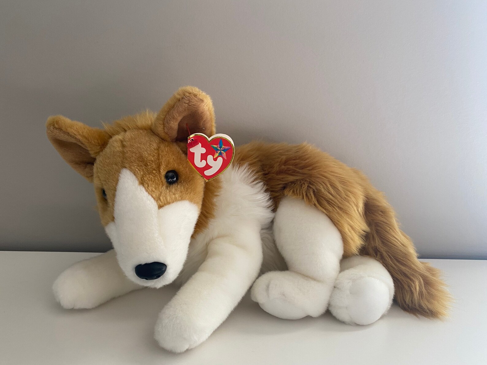 TY Beanie Buddy cassie the Collie Dog Plush rare 11.5 | Etsy