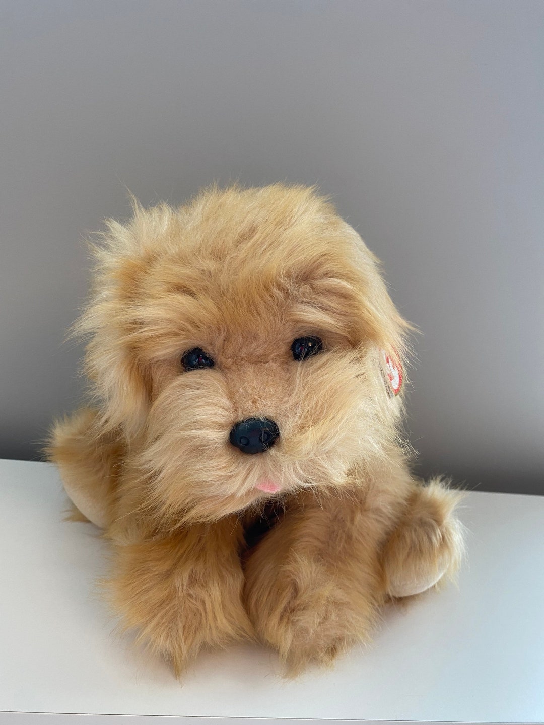Ty Classics Collection “colonel” the Adorable Dog *rare* (9 Inch) - Etsy