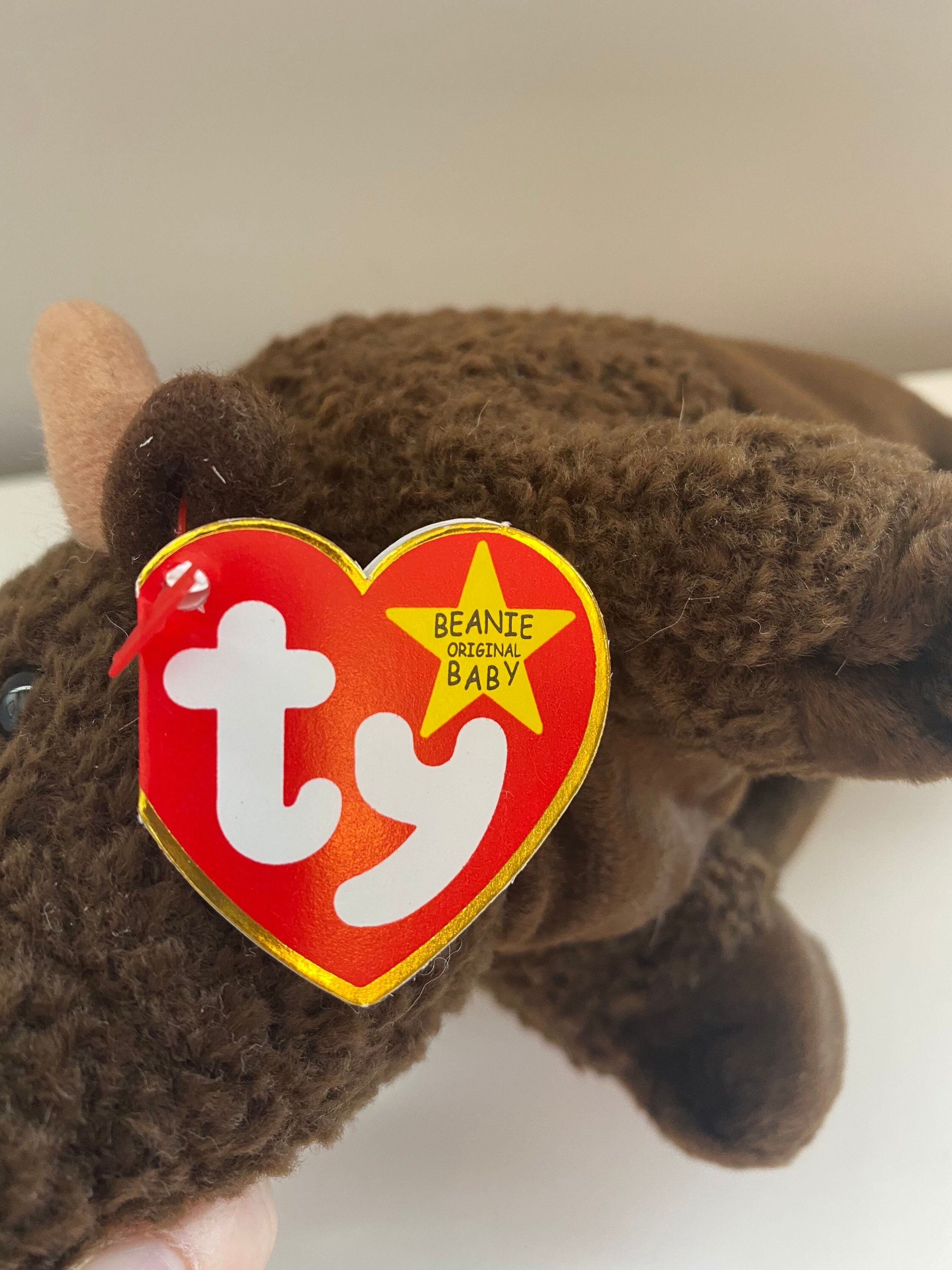 TY Beanie Baby Roam the Buffalo 6.5 inch | Etsy