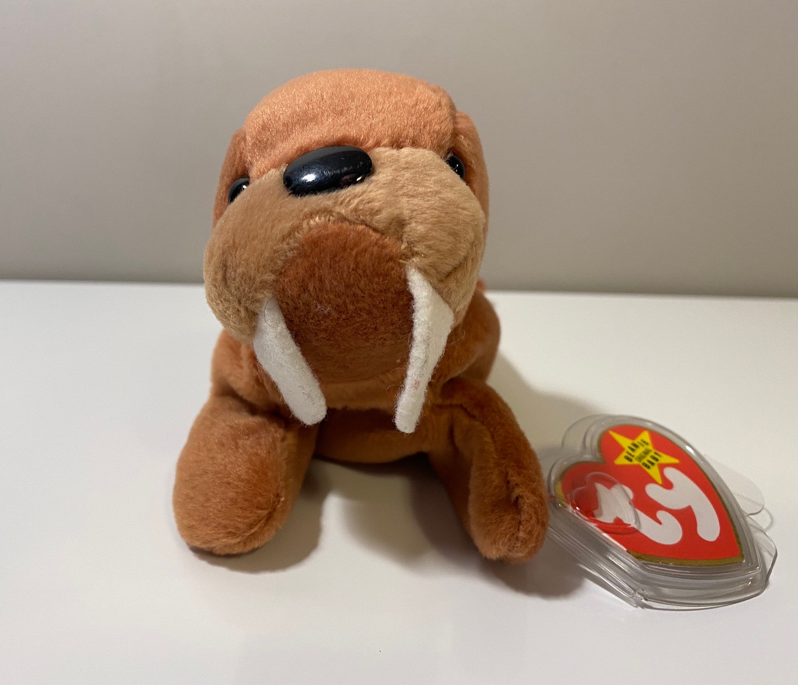 TY Beanie Baby tusk the Walrus 7.5 Inch - Etsy UK