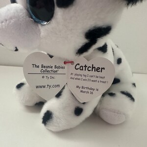 Ty Beanie Baby “catcher” the Dalmatian (6 Inch) - Etsy