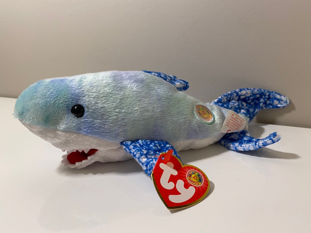 TY Beanie Baby chompers the Shark Beanie Baby of the Month - Etsy